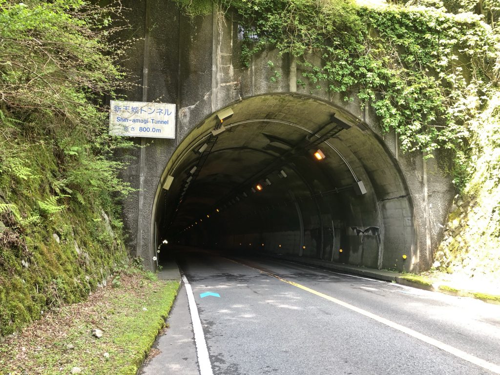 春の伊豆半島 天城越えRide〜さらに西天城高原越え – Conndominium Toraya＆Cotora