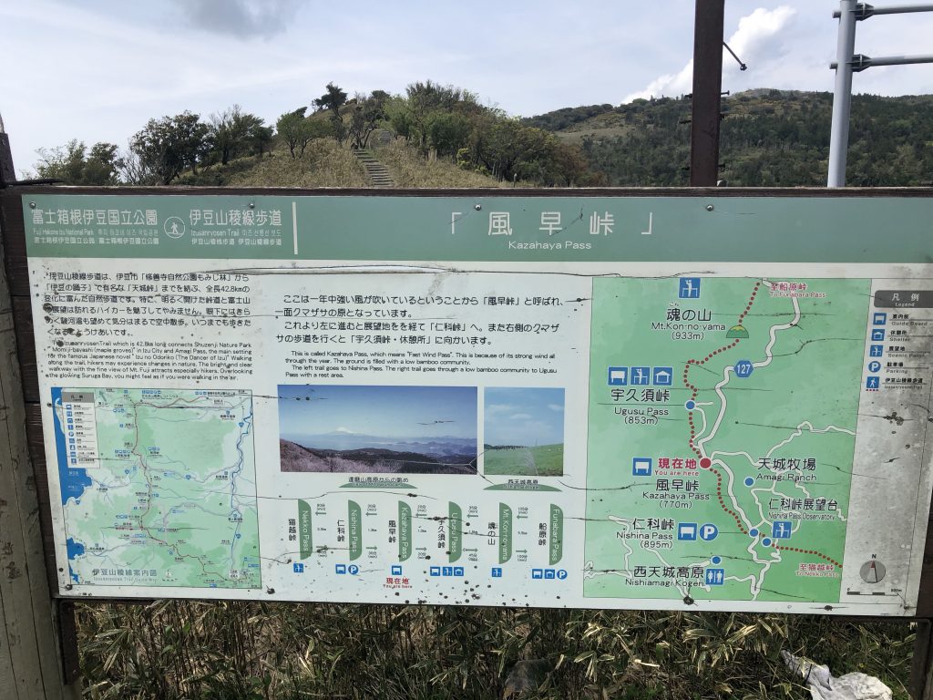 春の伊豆半島 天城越えRide〜さらに西天城高原越え – Conndominium Toraya＆Cotora