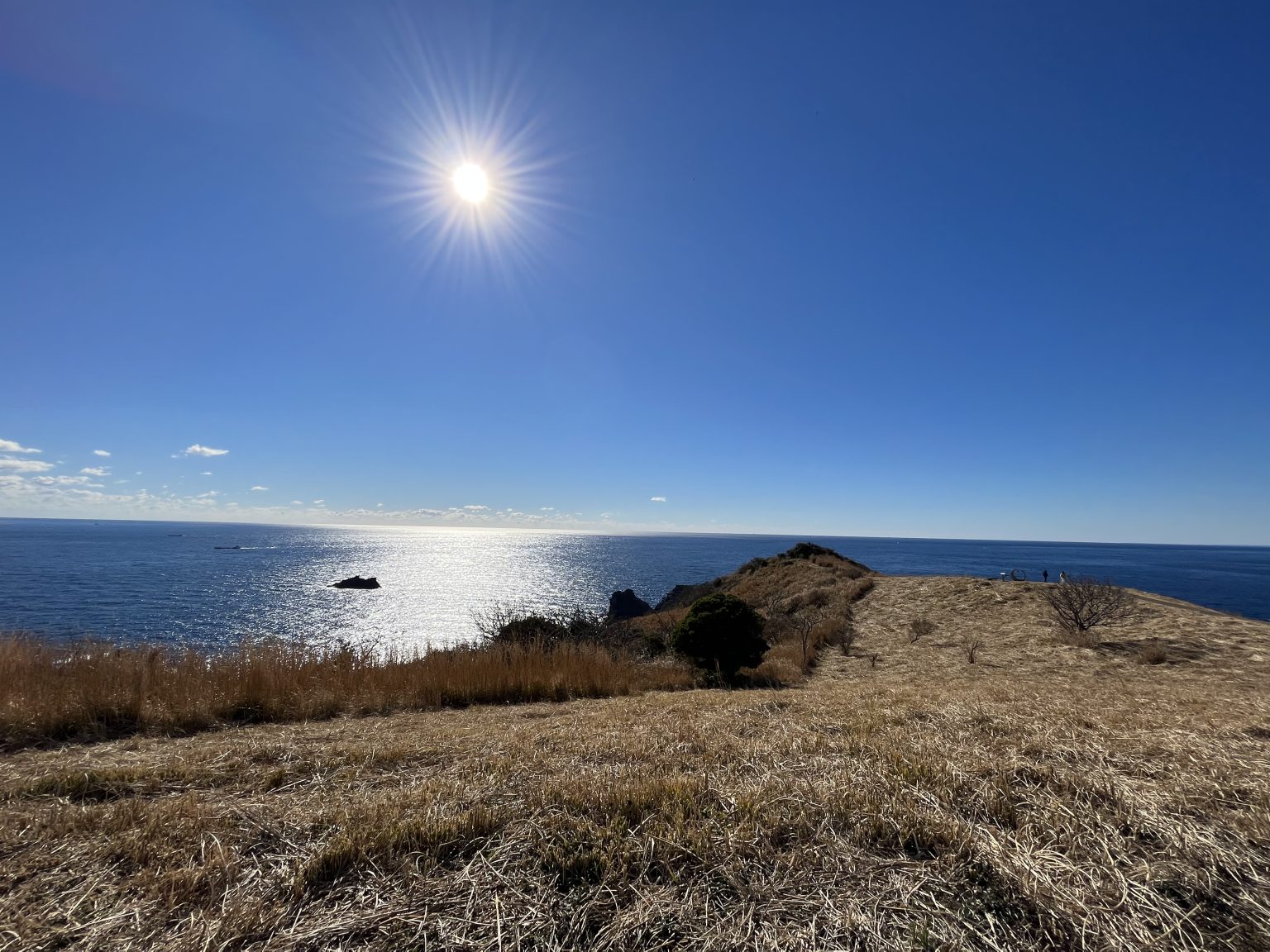 Conndominium Toraya＆Cotora – 伊豆下田 ビーチへ5分のコンドミニアム