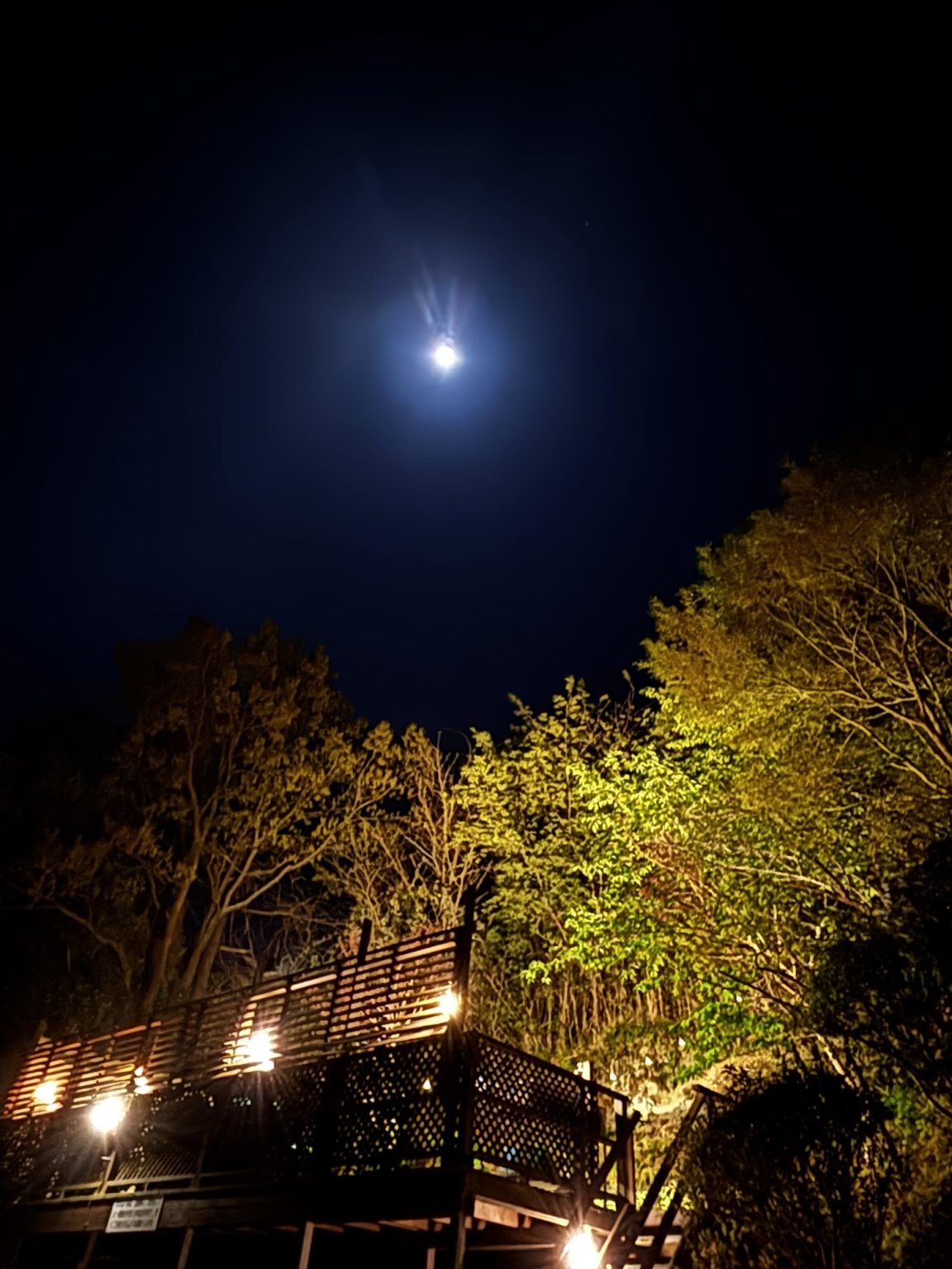 GW 目前 – Conndominium Toraya＆Cotora